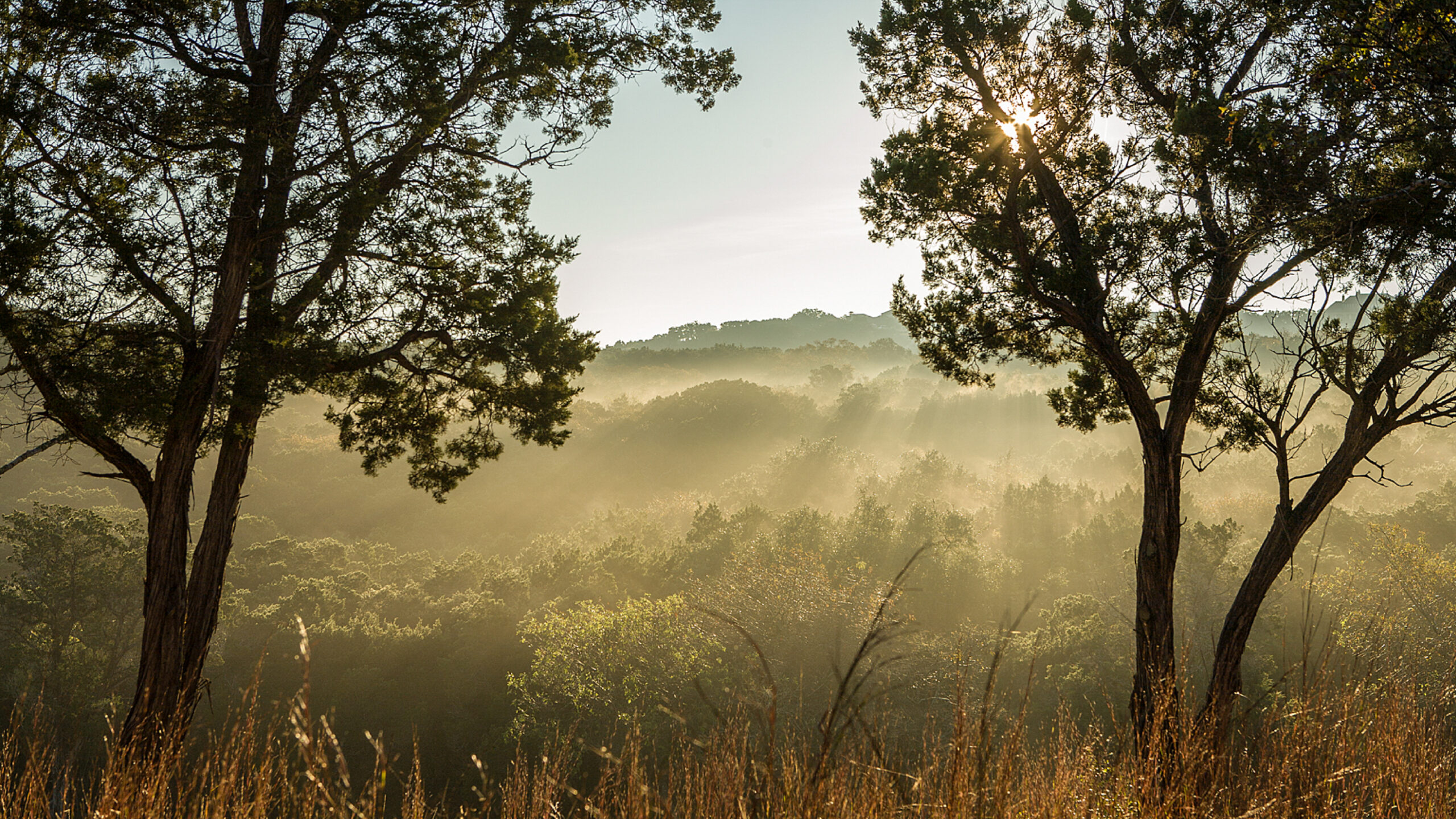 Hundreds of apartments slated to rise in Thomas Ranch development west ...